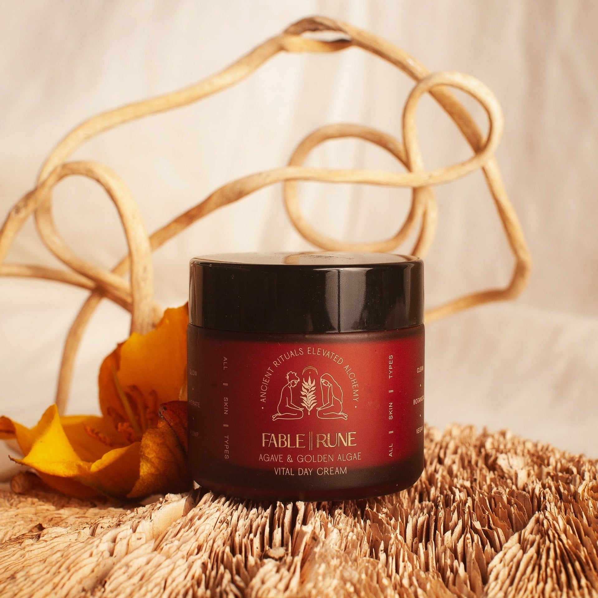 Agave & Golden Algae Face Cream | Best Natural Moisturizer | Sensitive ...