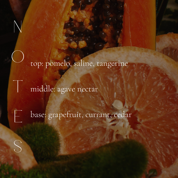 Salted Grapefruit Soy Candle | Natural Functional Aromatherapy – FABLERUNE